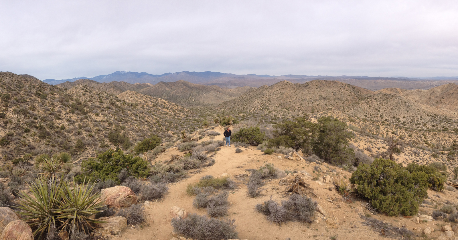Hike Hi-View Nature Trail